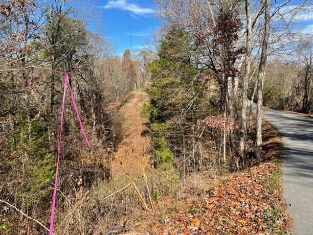 71 Happy Hollow Ln, Sevierville, TN 37876