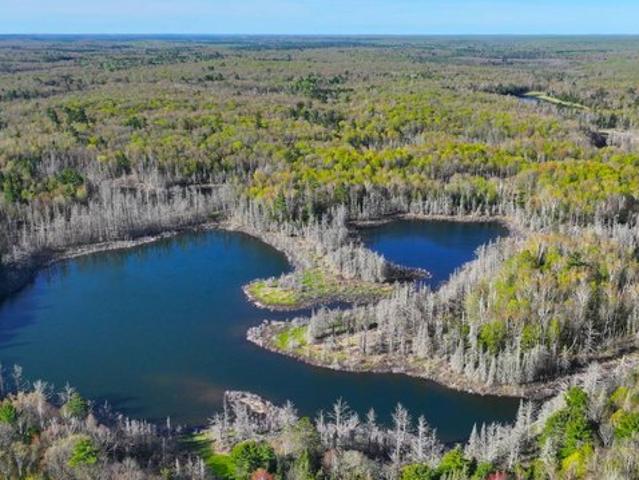 71 Holly Lake Rd, Drummond, WI 54832
