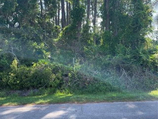 71 Lake Success Dr, Palm Coast, FL 32137