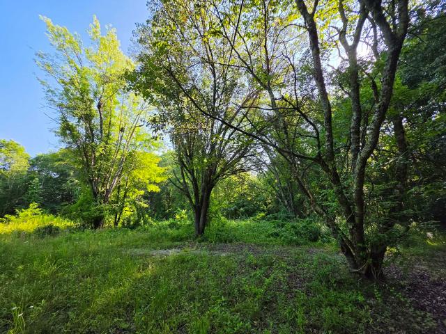 71 Myers Town Rd