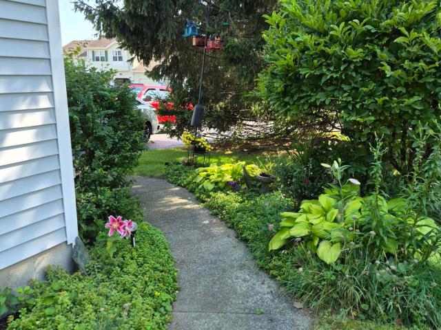 71 Old Mill Lane