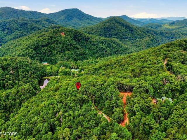 71 Redtail Rd, Sevierville, TN 37862