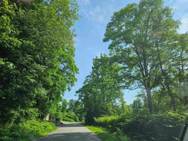 71 River Side Ave, Lisbon, NH 03585 | MLS #5050