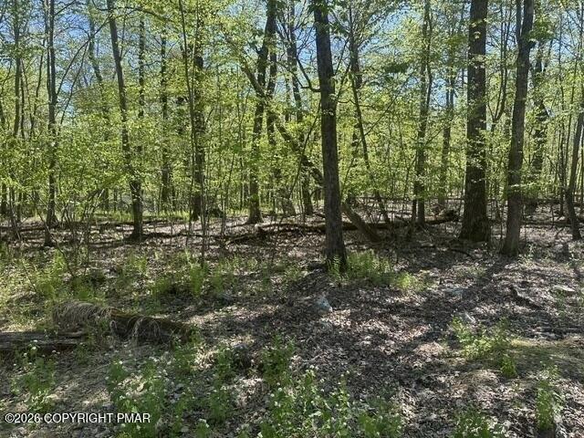 71 Sancturary Dr, East Stroudsburg, PA 18302