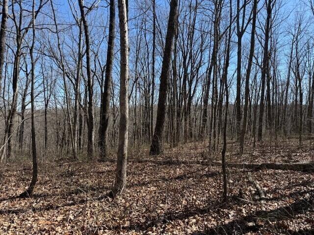 71 Sunbeam Lake Loop Road
