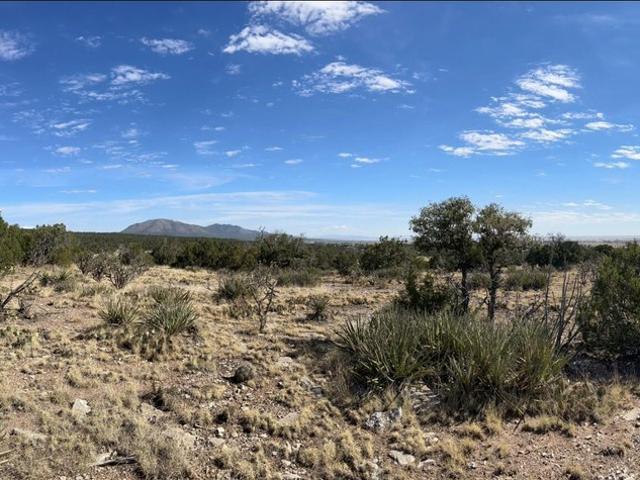 71 Sunset Blvd, Edgewood, NM 87015