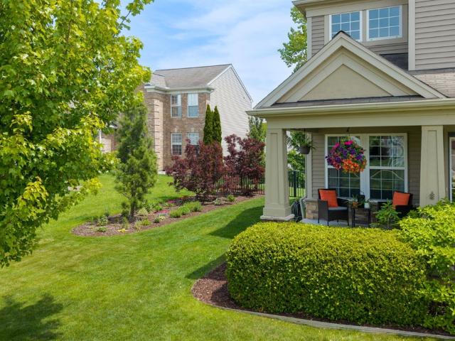 7206 Meadowgrass Court