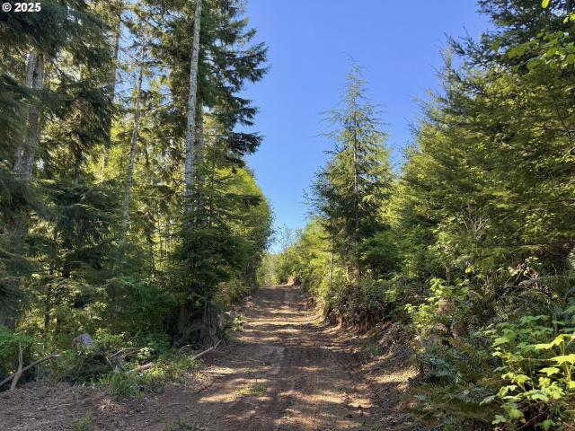 72000 Clatskanie Heights RD