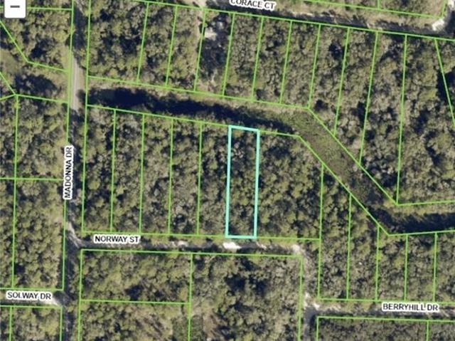 7200 Norway St, Webster, FL 33597