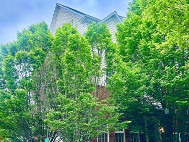 7202 Little Thames Dr, Gainesville, VA 20155