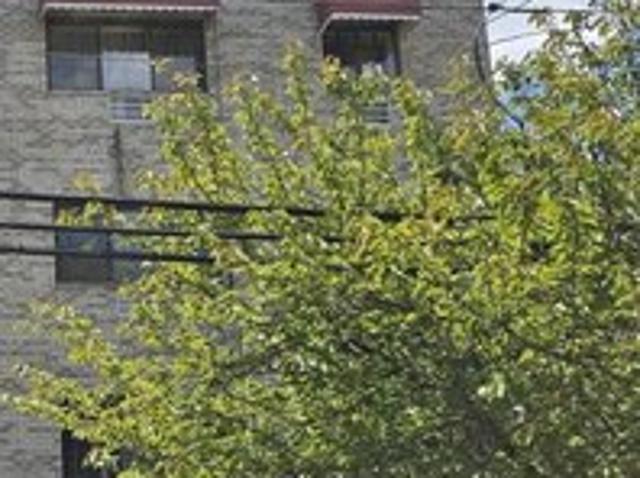 720 E 220th St, Bronx, NY 10467