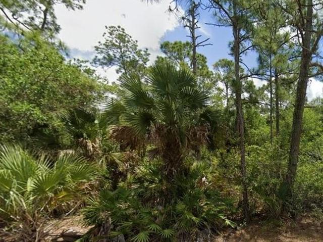 720 Louis Ave Lot 2, Lehigh Acres, FL 33972