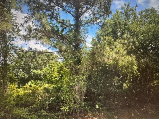 720 Scott Ave, Lehigh Acres, FL 33972 | MLS #A11928
