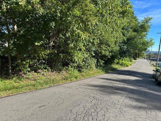 720 Squires Ave, Endicott, NY 13760