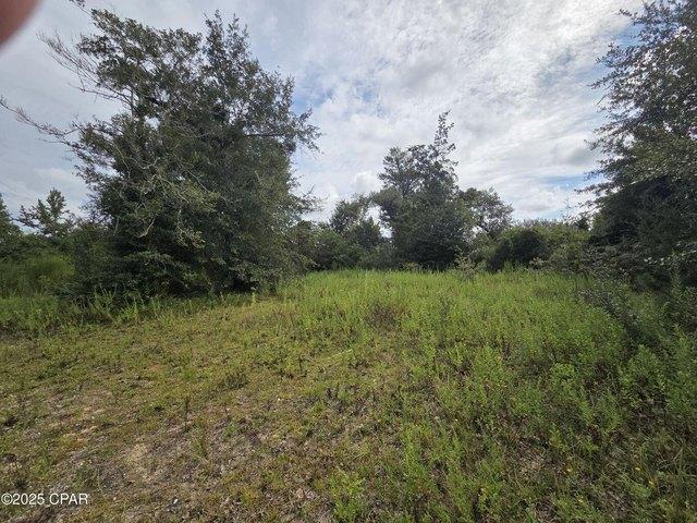 7215 Diane Ln, Panama City, FL 32404