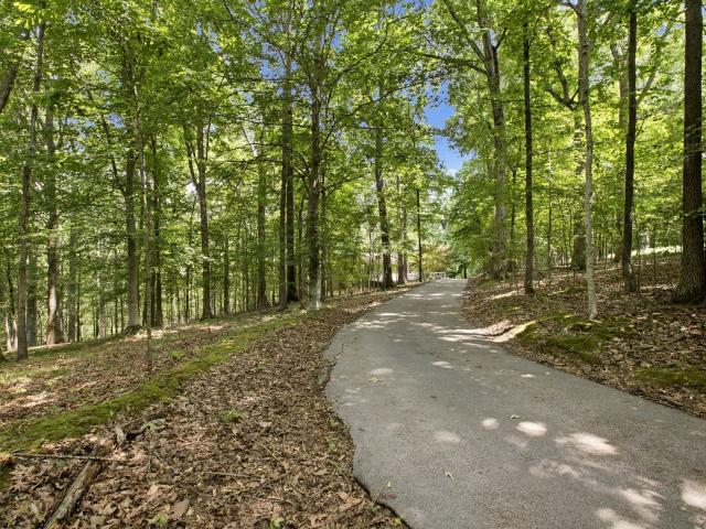 7215 Sugar Maple Dr