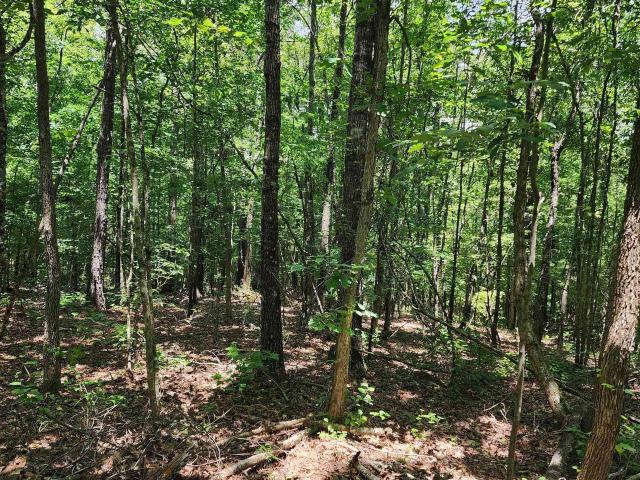7218 County Road 26 # 10