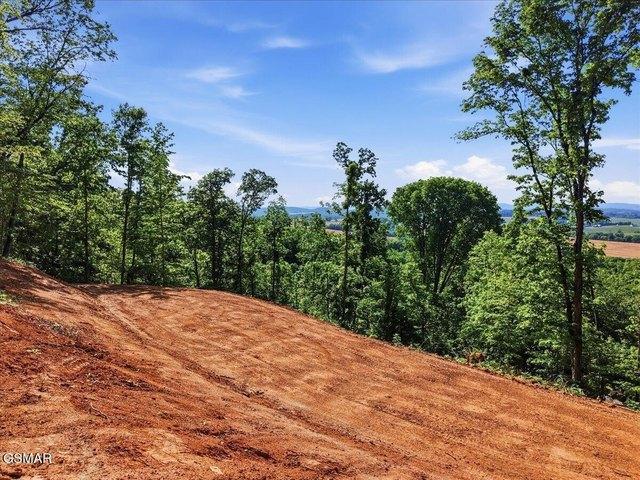 721 Cecil Lockhart Rd, New Market, TN 37820