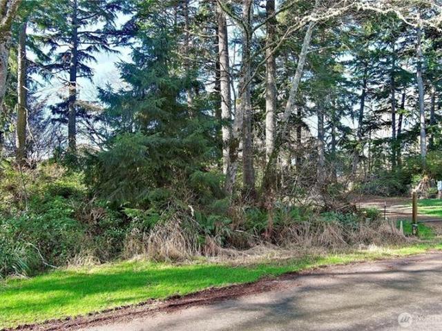 721 Chenois Ave NE Lot 369, Ocean Shores, WA 98569