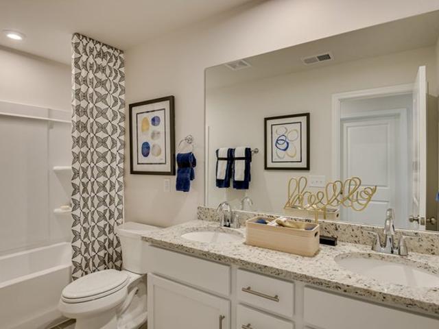 721 Feldspar Ct, Chapin, SC 29036