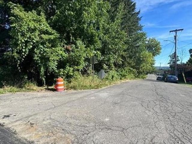 721 N Rogers Ave, Endicott, NY 13760