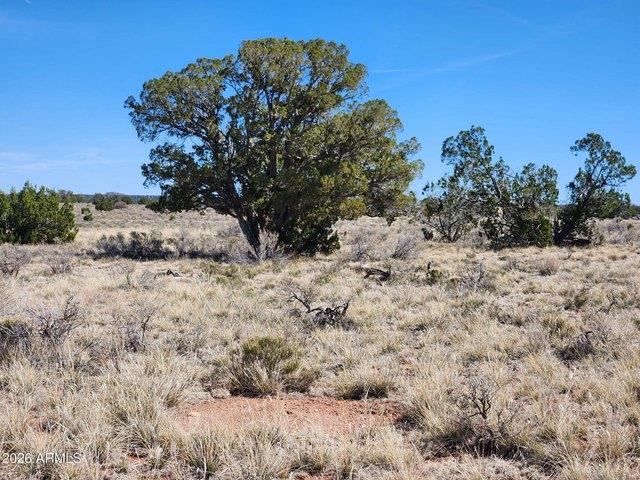 721 S Wyandotte Rd Unit 243, Williams, AZ 86046