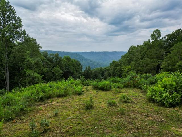 722 Flat Top View Lane