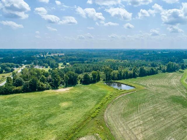7235 Nc 210, Four Oaks, NC 27524 | MLS #10143