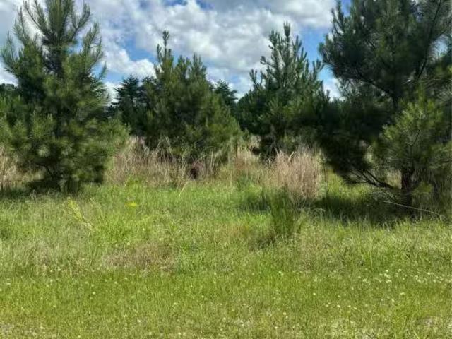 7235 HARVEST RD, REMBERT, SC 29128 Vacant Land For Sale MLS#.