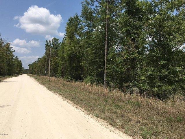 7231 NE 136th Ave, Williston, FL 32696