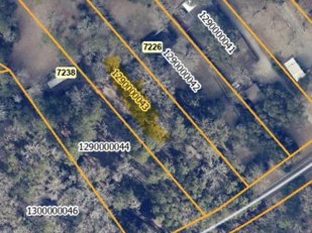 7232 Ethel Post Office Rd, Meggett, SC 29449