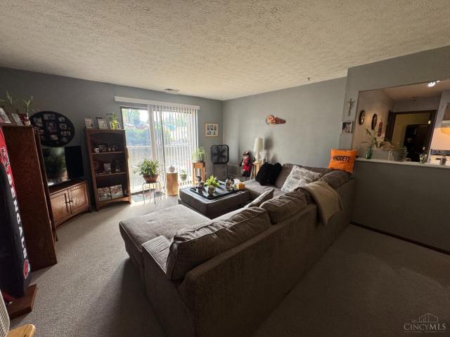 7233 Creekview Drive