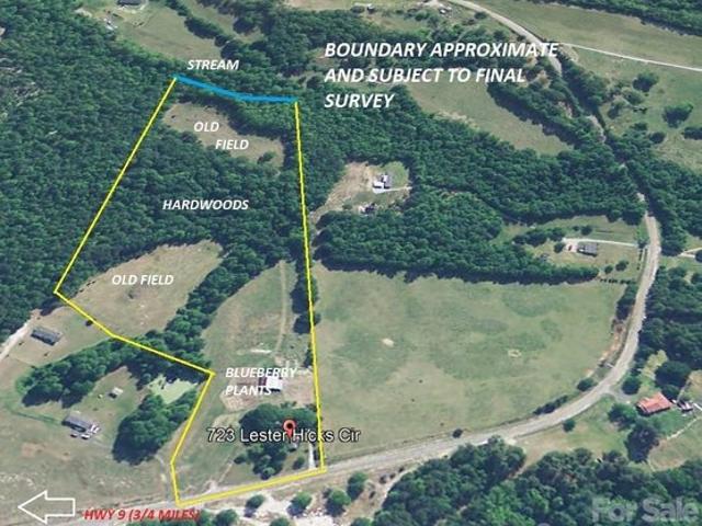 723 Lester Hicks Cir, Pageland, SC 29728