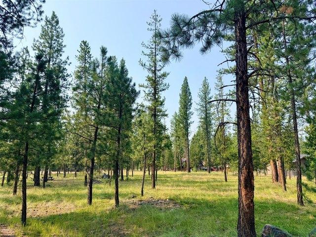 723 Timber Ln, Seeley Lake, MT 59868