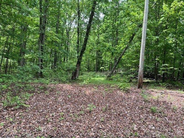 7240 Kingston Rd, Fairview, TN 37062