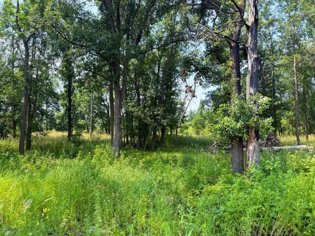 7241 US Highway 169