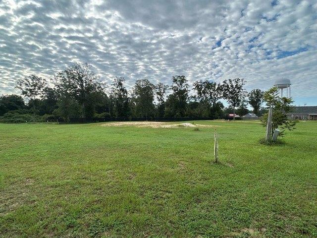 724 N Broad St, Cowarts, AL 36321