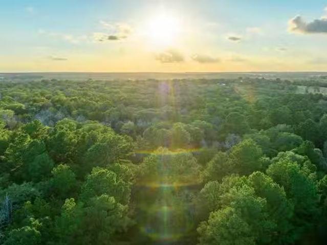 724 WILHELM WAY, RED ROCK, TX 78662 Vacant Land For Sale MLS#.