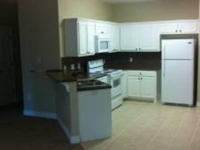 $725 / 1br New 1 BR / 1Bath Apt. for Rent! *BRIDGE CITY