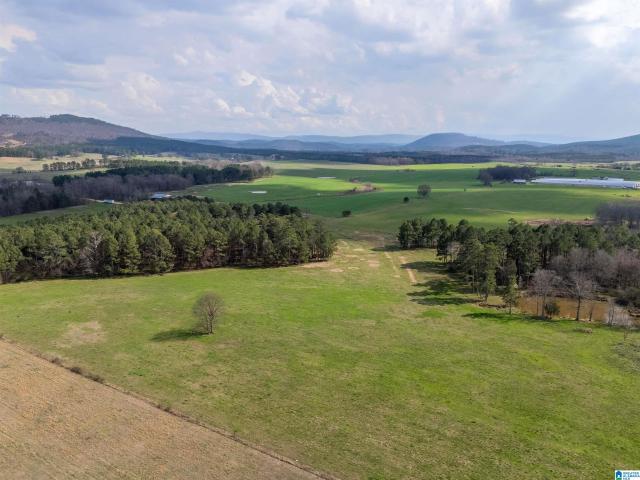 725 County Road 19