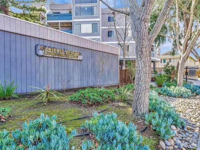 725 Mariposa Ave 306, Mountain View, CA 94041