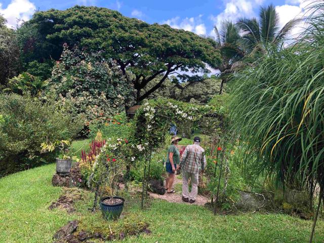 725 Nahiku Rd, Hana, HI 96713 | MLS #407015