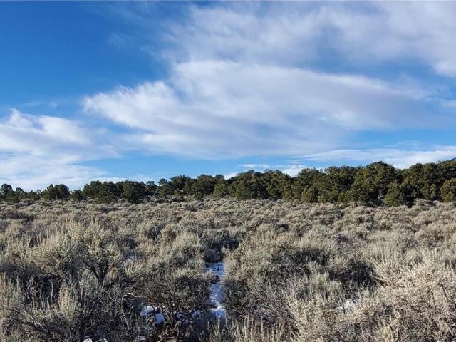 7265 Tiernan Rd, Fort Garland, CO 81133 | MLS #4712 | Compass