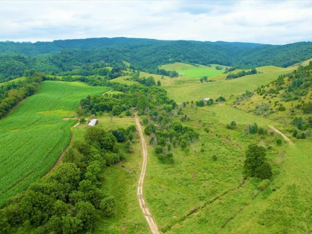 7267 Blue Grass Trail