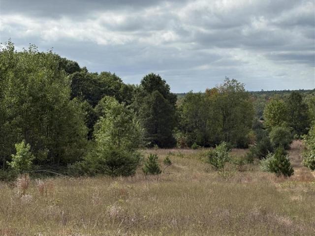 7267 S Snyder Road