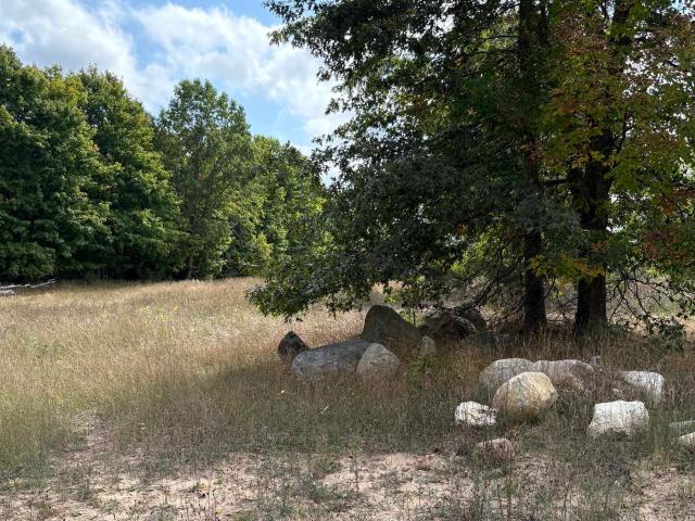 7267 S Snyder Road