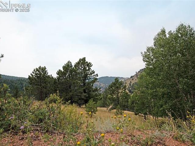 726 Copper Mountain Drive