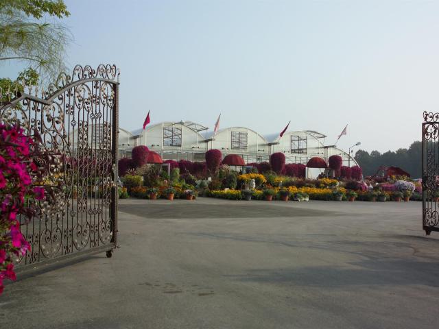 726 airport drive