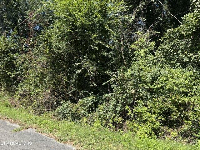 726 Brookhill Dr, Etowah, TN 37331