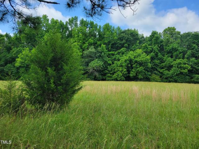 726 S 2nd Ave, Siler City, NC 27344 | MLS #10098
